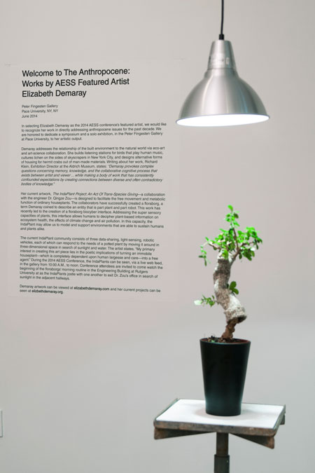 Elizabeth Demaray – Visual, Media, and Performing Arts